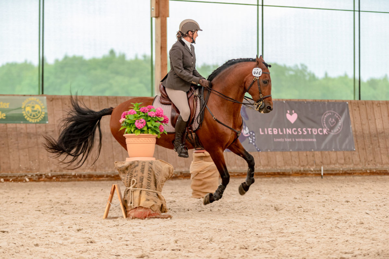 Working Equitation | Let´s go working!